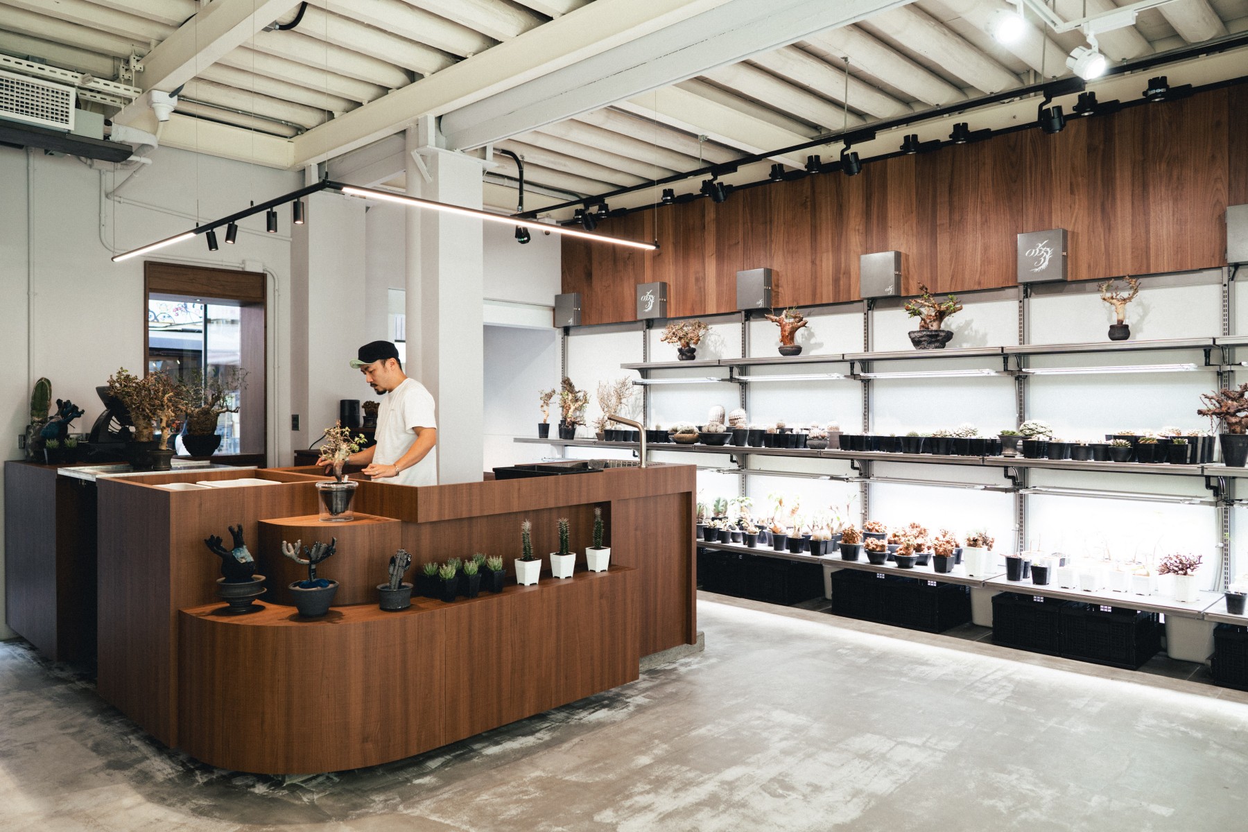 0343 CONSERVATORY台南店：由塊根植物形塑全新的生活文化 - VERSE