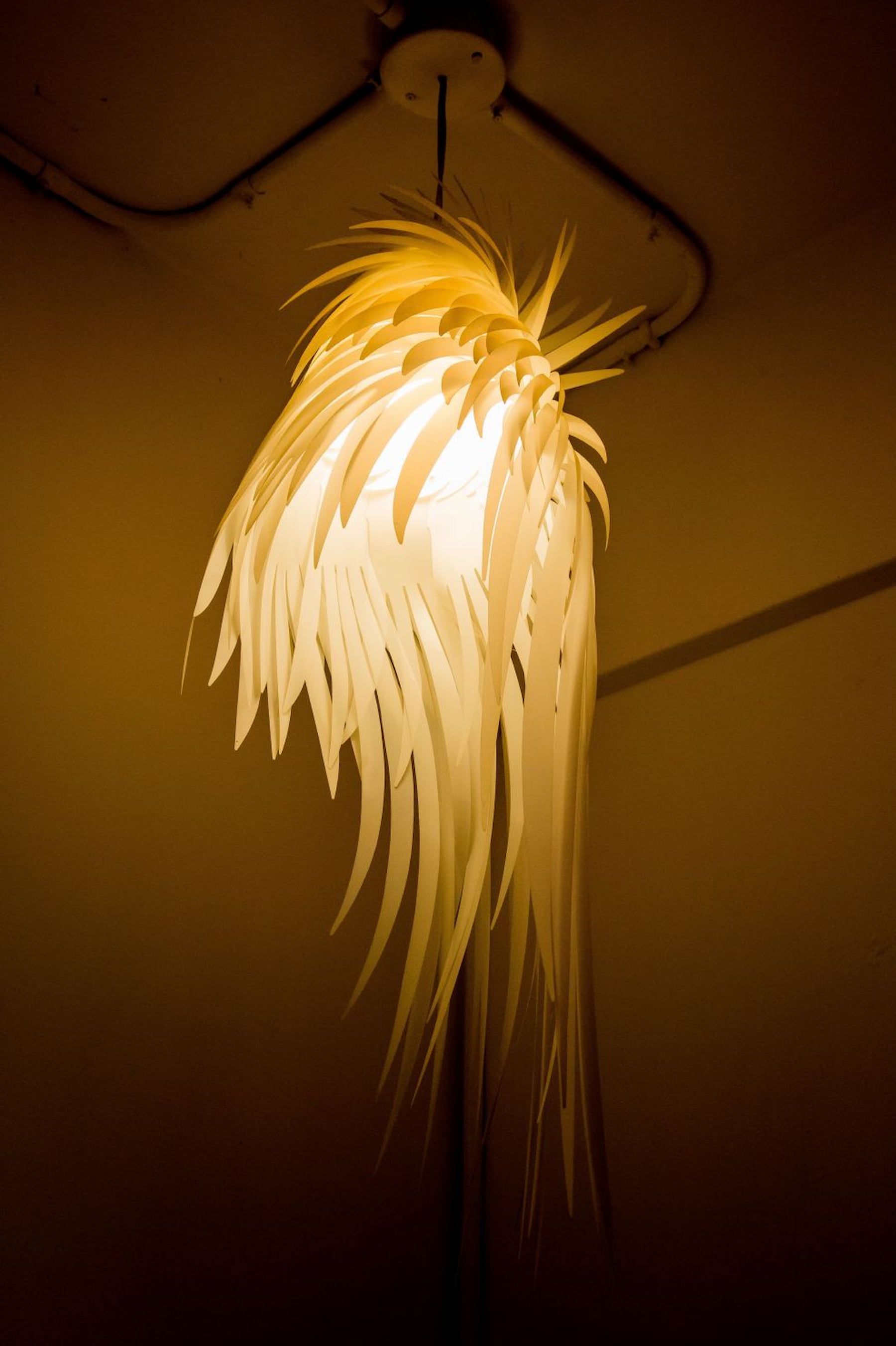 以光，連結詩意：專訪光拓彩通照明創辦人孫啟能 - VERSE