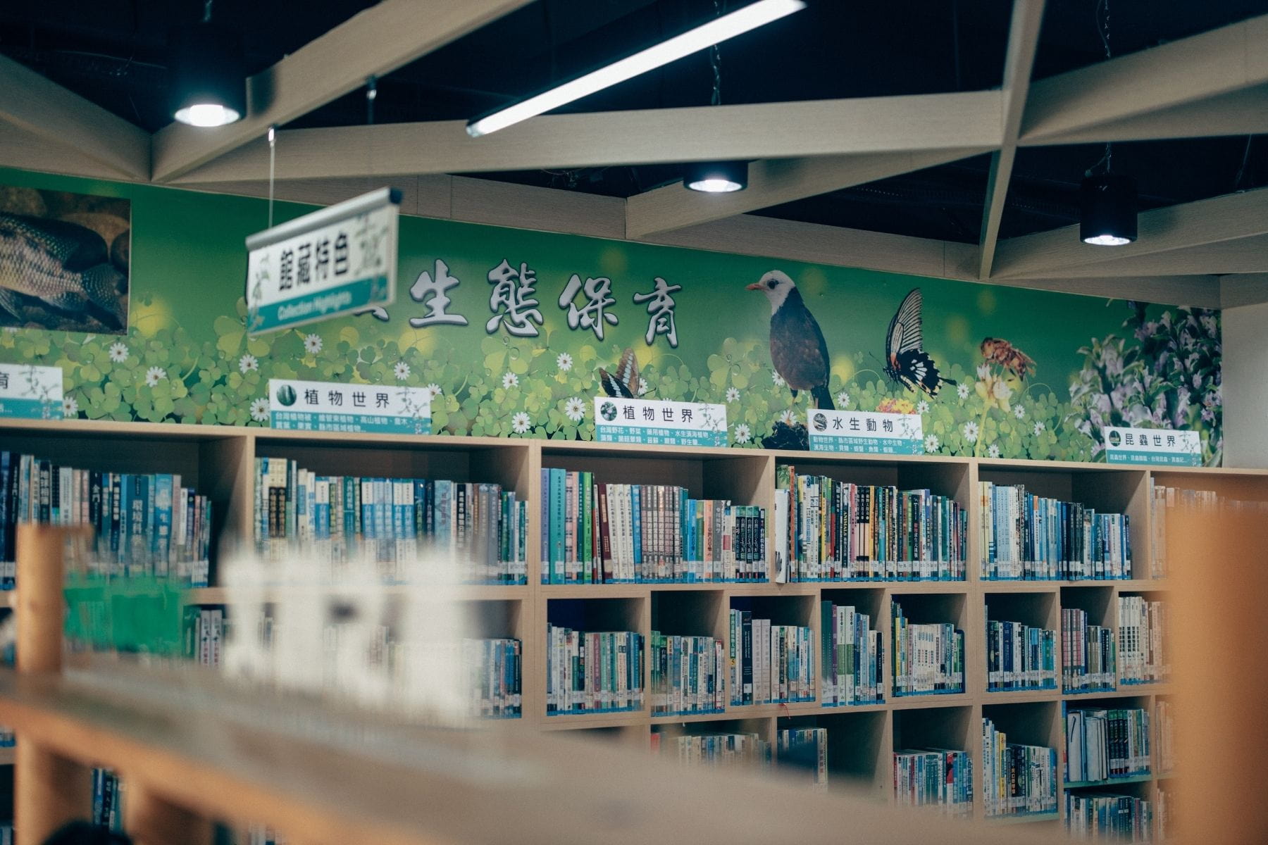 以自然生態點亮知識光明燈：台中市立圖書館大安分館 - VERSE